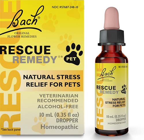 Need an Over the Counter Cat Sedative? Here Are Your Options ...