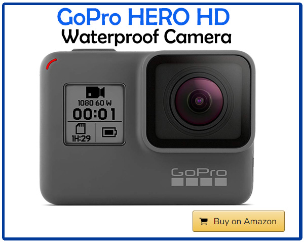 Getting a Cats-Eye View: The 5 Best Cat Collar Cameras | Traveling With ...