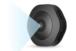 Getting a Cats-Eye View: The 5 Best Cat Collar Cameras – Traveling With ...