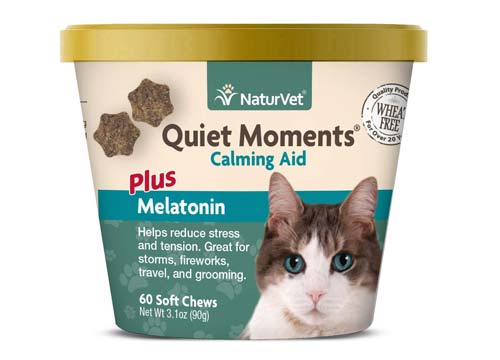 Need an Over the Counter Cat Sedative? Here Are Your Options ...