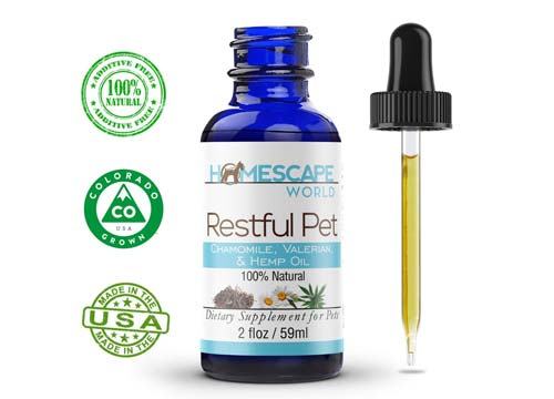 Need an Over the Counter Cat Sedative? Here Are Your Options ...