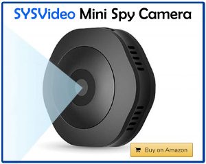 5 Best Cat Collar Cameras: Getting a Cats-Eye View | Traveling With ...