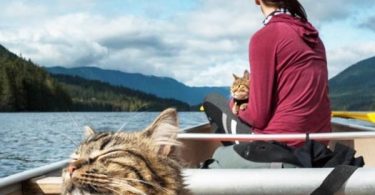 How to Boat with Your Cat Pal | Traveling With Your Cat