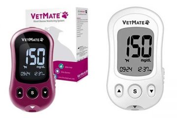 Choosing the Best Glucometer for Cats | Traveling With Your Cat