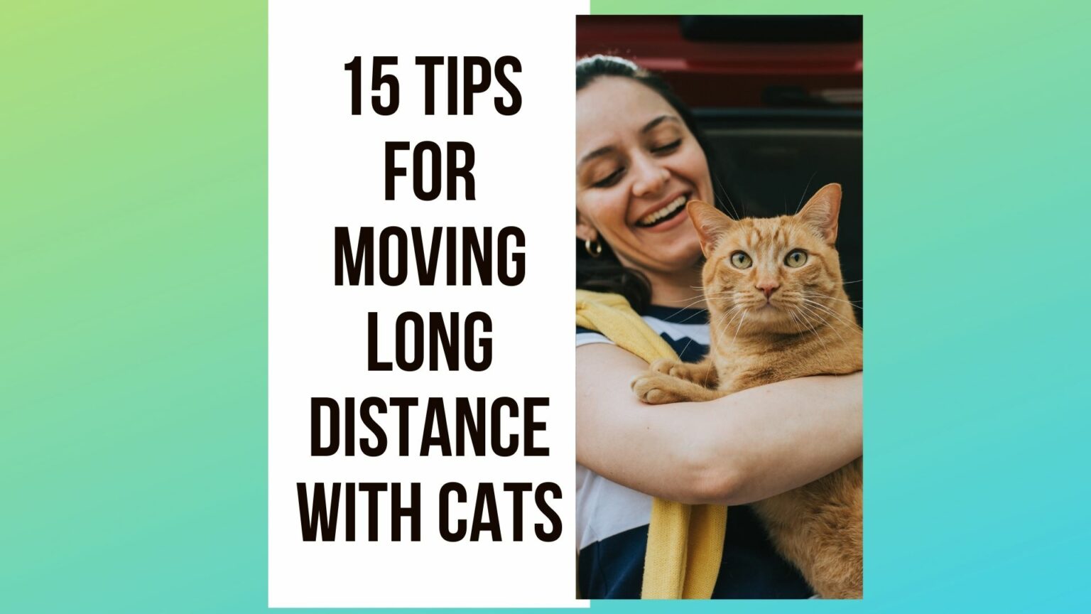 15 Tips for Moving Long Distance with Cats - Traveling With Your Cat