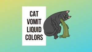 7 Cat Vomit Colors: Cat Throwing Up Liquid