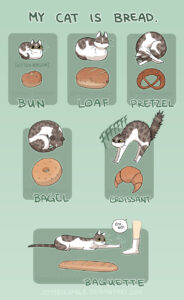 Cat Loaf Meaning: 6 Cat Loafing Positions You Must Know!
